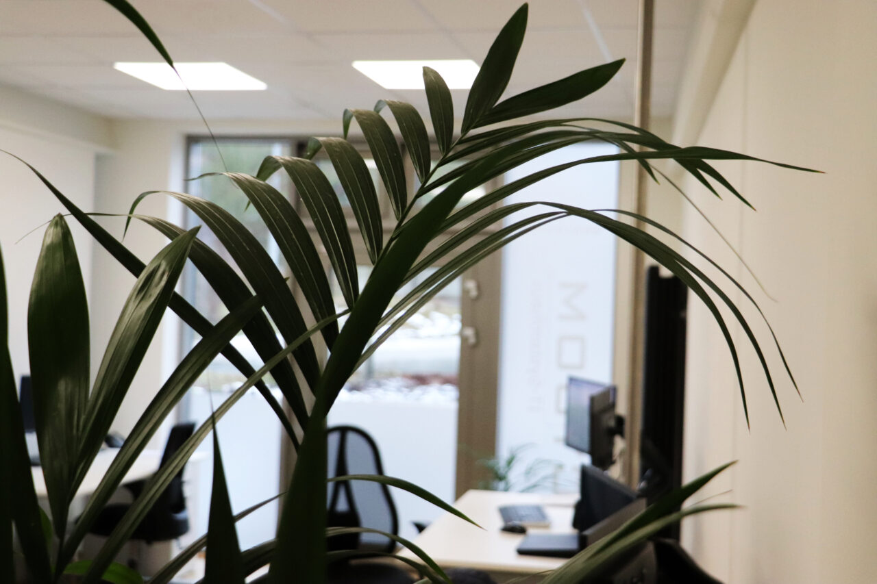 CyCOM Karriere | Deine Karriere bei uns!